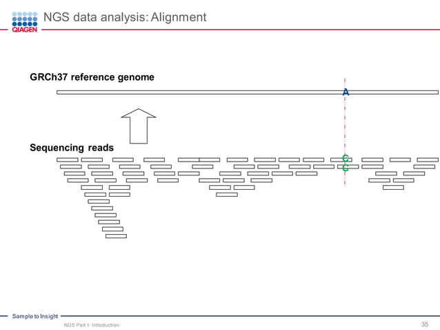 Next-Generation Sequencing an Intro to Tech and Applications: NGS Tech ...