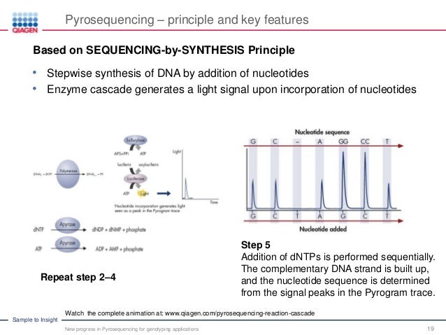 New Progress in Pyrosequencing for Automated Quantitative Analysis of…