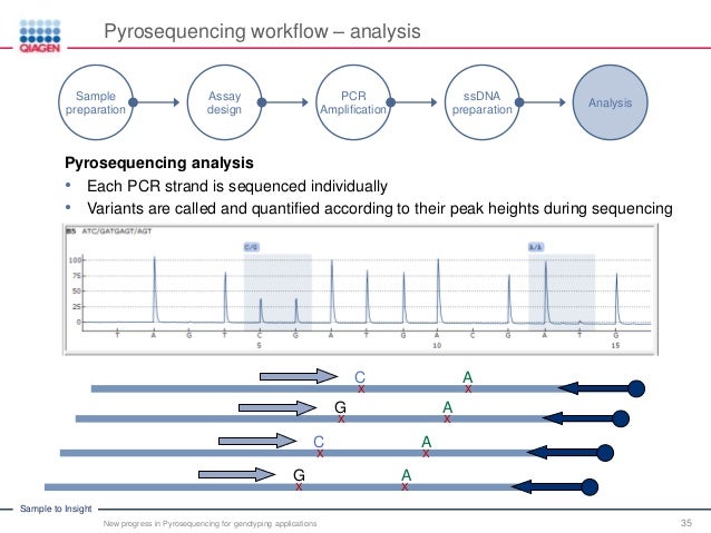 New Progress in Pyrosequencing for Automated Quantitative Analysis of…
