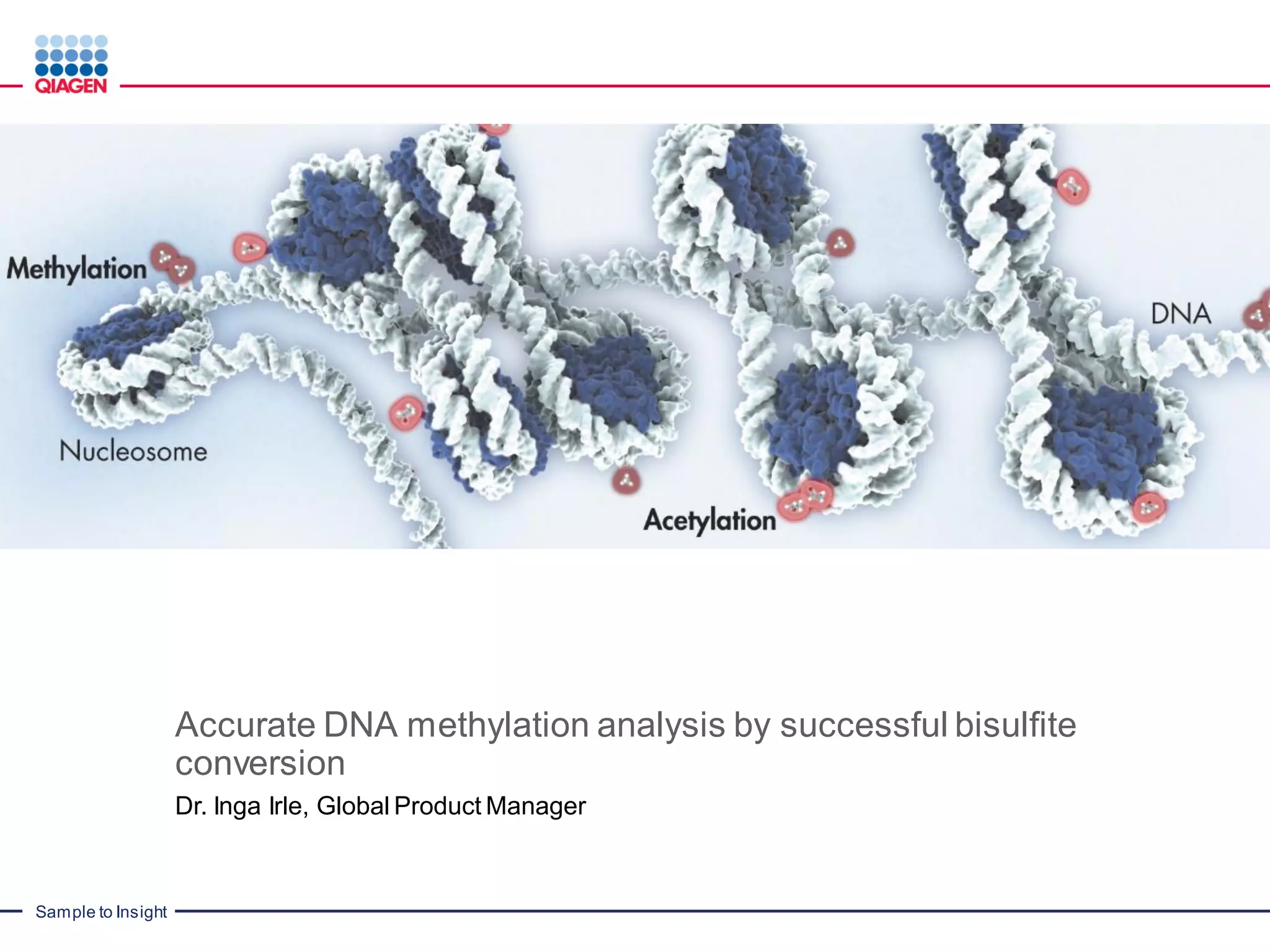 Accurate DNA Methylation Analysis with Successful Bisulfite Conversion ...