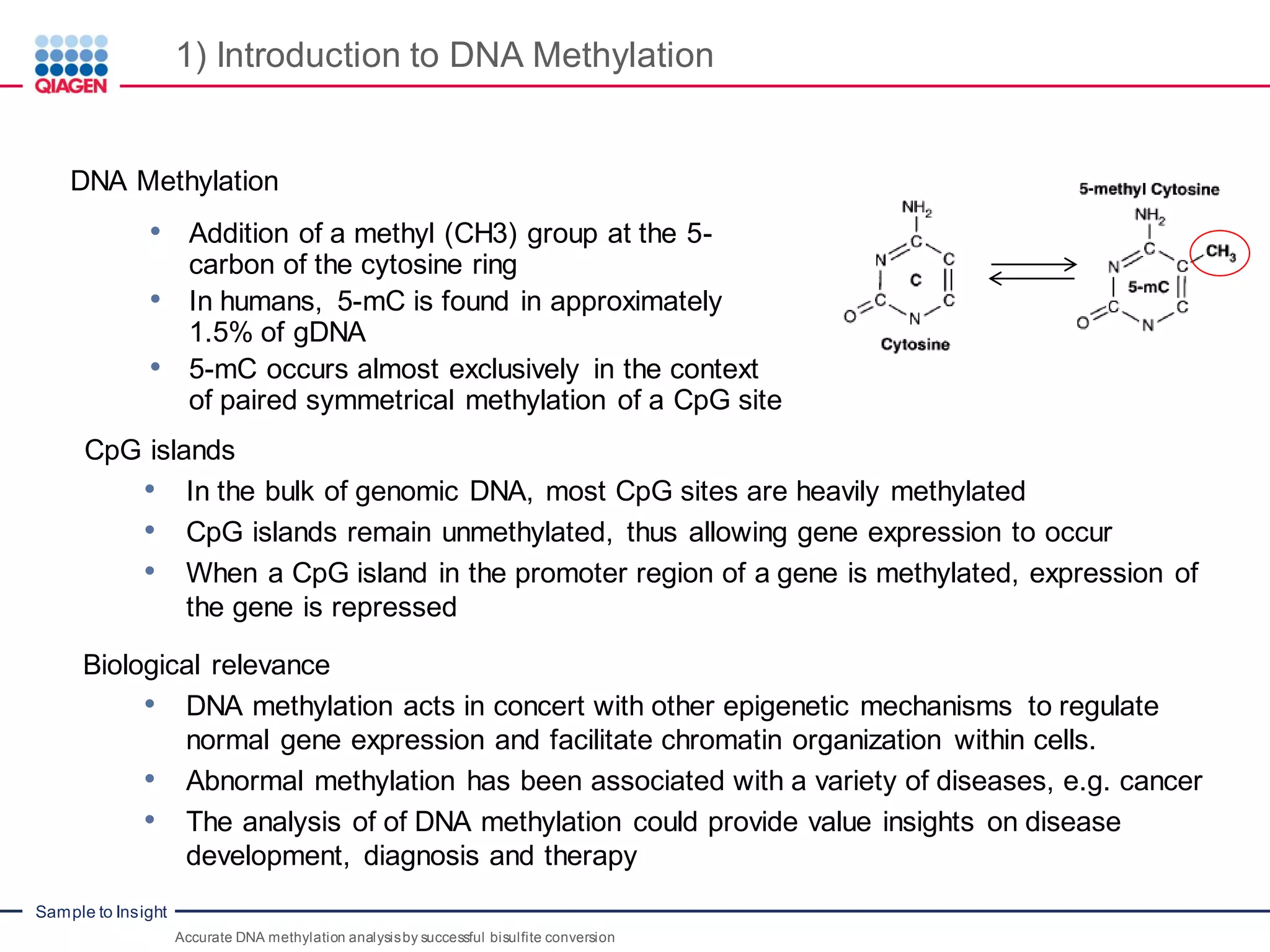 Accurate DNA Methylation Analysis with Successful Bisulfite Conversion ...