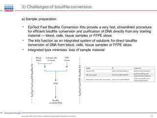 Accurate DNA Methylation Analysis with Successful Bisulfite Conversion ...