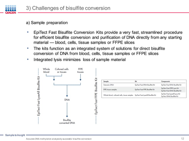 Accurate DNA Methylation Analysis with Successful Bisulfite Conversion ...