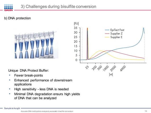 Accurate DNA Methylation Analysis with Successful Bisulfite Conversion ...