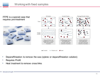 Back to Basics: Fundamental Concepts and Special Considerations in gDNA ...