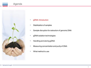 Back to Basics: Fundamental Concepts and Special Considerations in gDNA ...