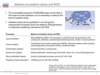 Oxidative Stress in Aging and Human Diseases - Exploring the Mechanisms ...