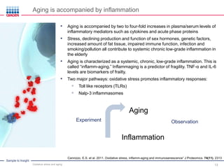 Oxidative Stress in Aging and Human Diseases - Exploring the Mechanisms ...