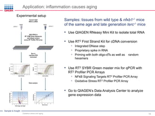 Oxidative Stress in Aging and Human Diseases - Exploring the Mechanisms ...