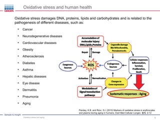 Oxidative Stress in Aging and Human Diseases - Exploring the Mechanisms ...