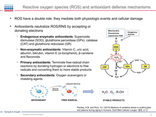 Oxidative Stress in Aging and Human Diseases - Exploring the Mechanisms ...