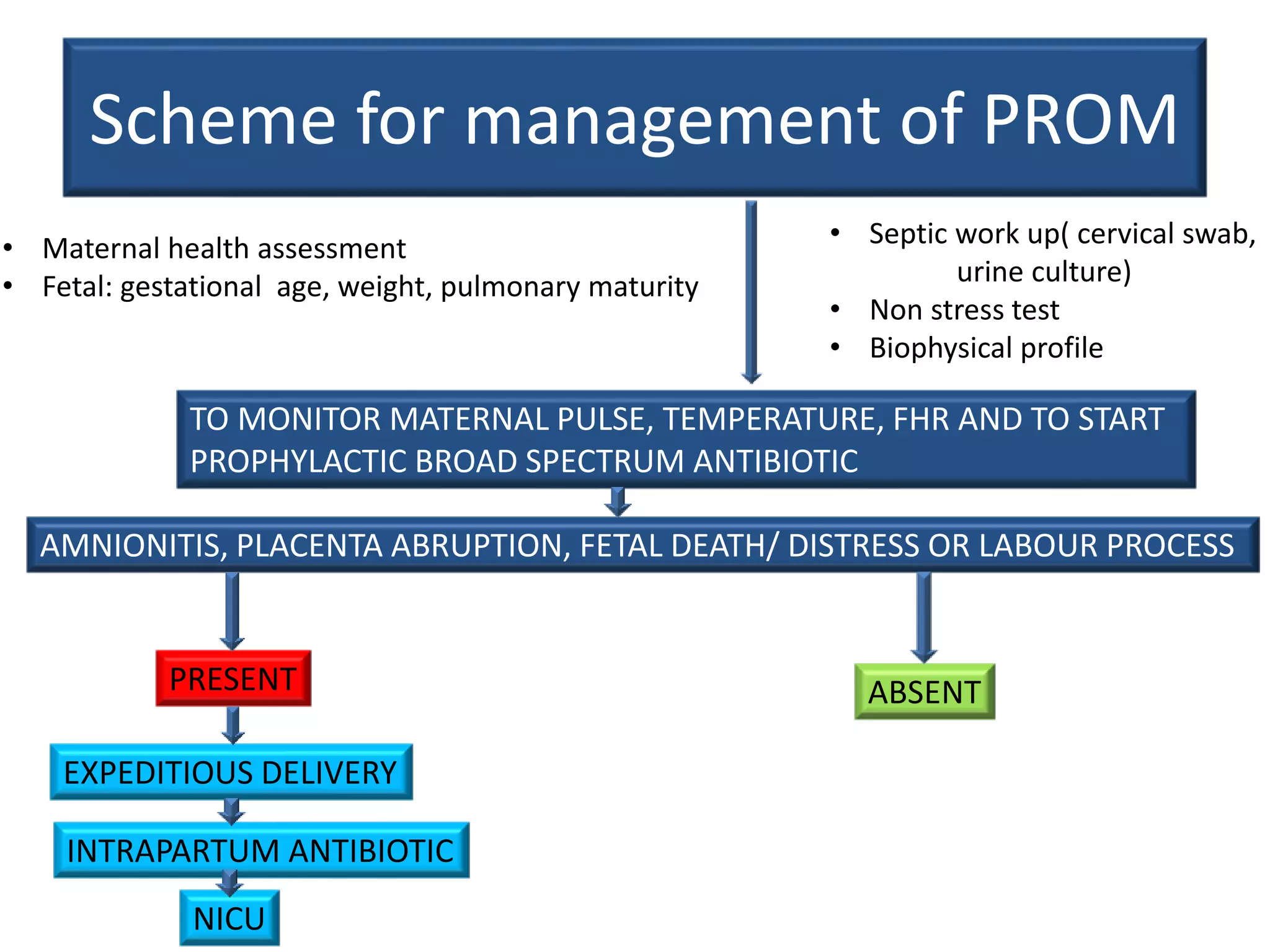 Prom and pprom | PPTX