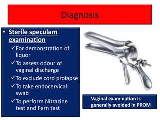 Prom and pprom | PPTX