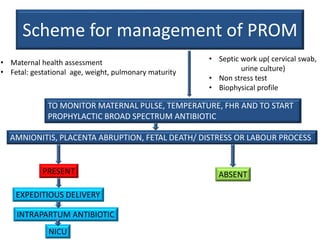 Prom and pprom | PPTX