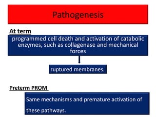 Prom and pprom | PPTX