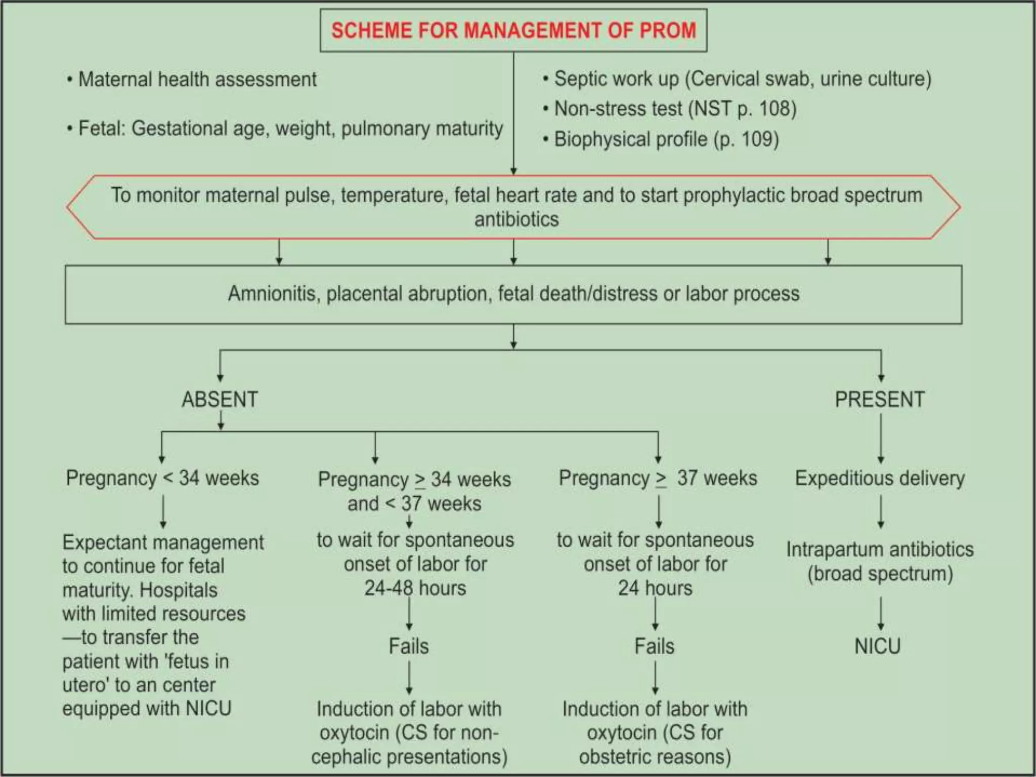 Premature rupture of membranes (PROM) | PPTX