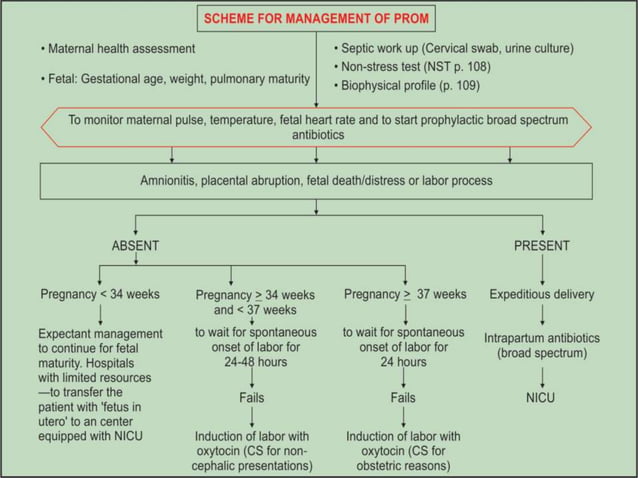 Premature rupture of membranes (PROM) | PPTX