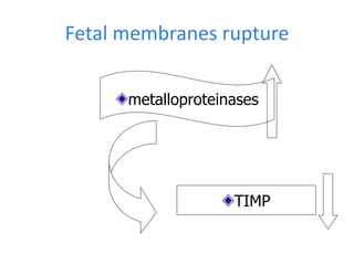 Premature Rupture of membrane(PROM) Oby/Gyni | PPT