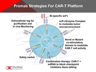 Promab | PPT