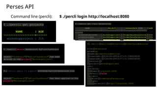 PromCon EU 2024: Meet the New Kid in the Sandbox - Integrating Visualization with Prometheus | PPT