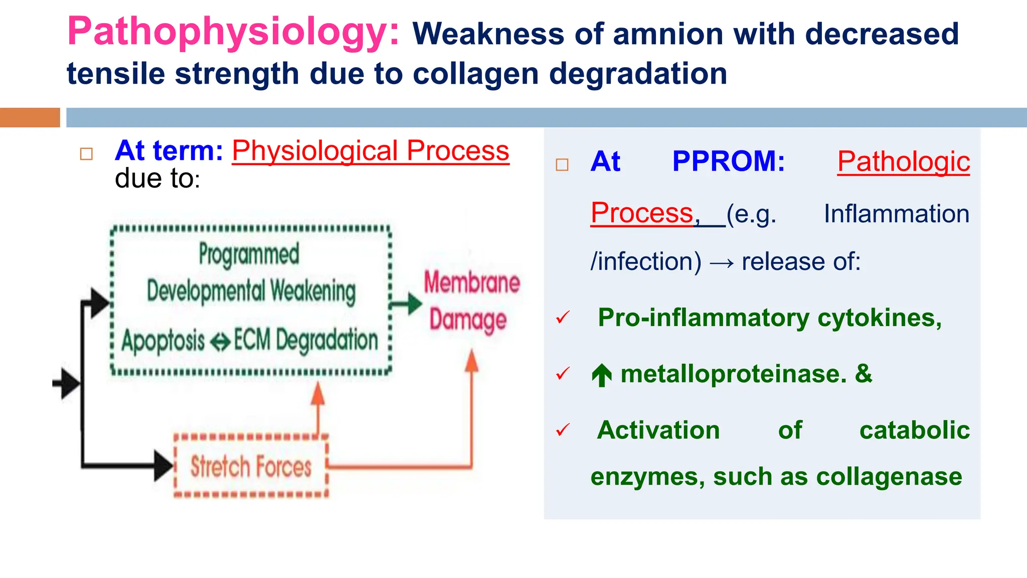 Prelabor Rupture of Membranes NICE Guideline 2022 Dr Ahmed Walid-1.pptx