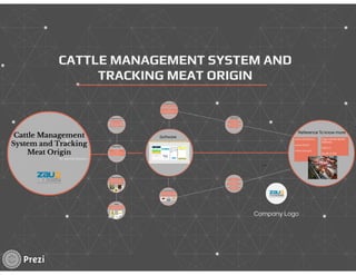 Cattle Management / Meat Traceability Model By Rizwan Buttar | PDF