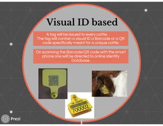 Cattle Management / Meat Traceability Model By Rizwan Buttar | PDF