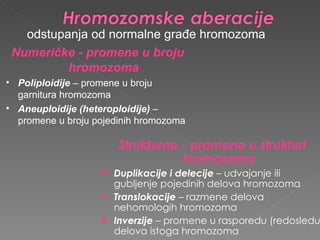 Promenegenetickogmaterijala 101209041322-phpapp01 | PDF