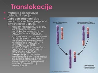 Promenegenetickogmaterijala 101209041322-phpapp01 | PDF