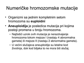 Promene genetickog materijala | PPT
