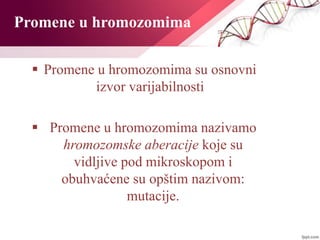 Promene u strukturi i broju hromozoma | PPTX