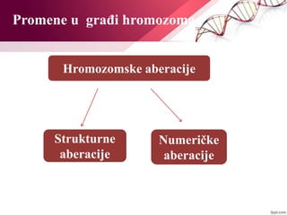 Promene u strukturi i broju hromozoma | PPTX
