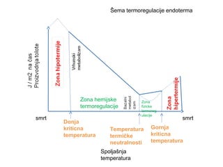 Promet energije i termoregulacija za 3. razred Gimnazije | PPT