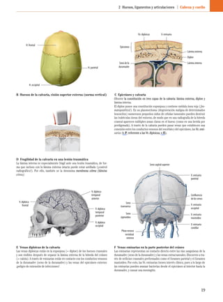 Prometheus. Texto y Atlas de Anatomia Tomo 3.pdf