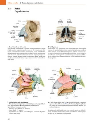 Prometheus. Texto y Atlas de Anatomia Tomo 3.pdf