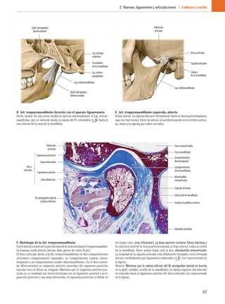 Prometheus. Texto y Atlas de Anatomia Tomo 3.pdf