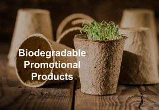Prominate sustainable and recycled merchandise | PDF