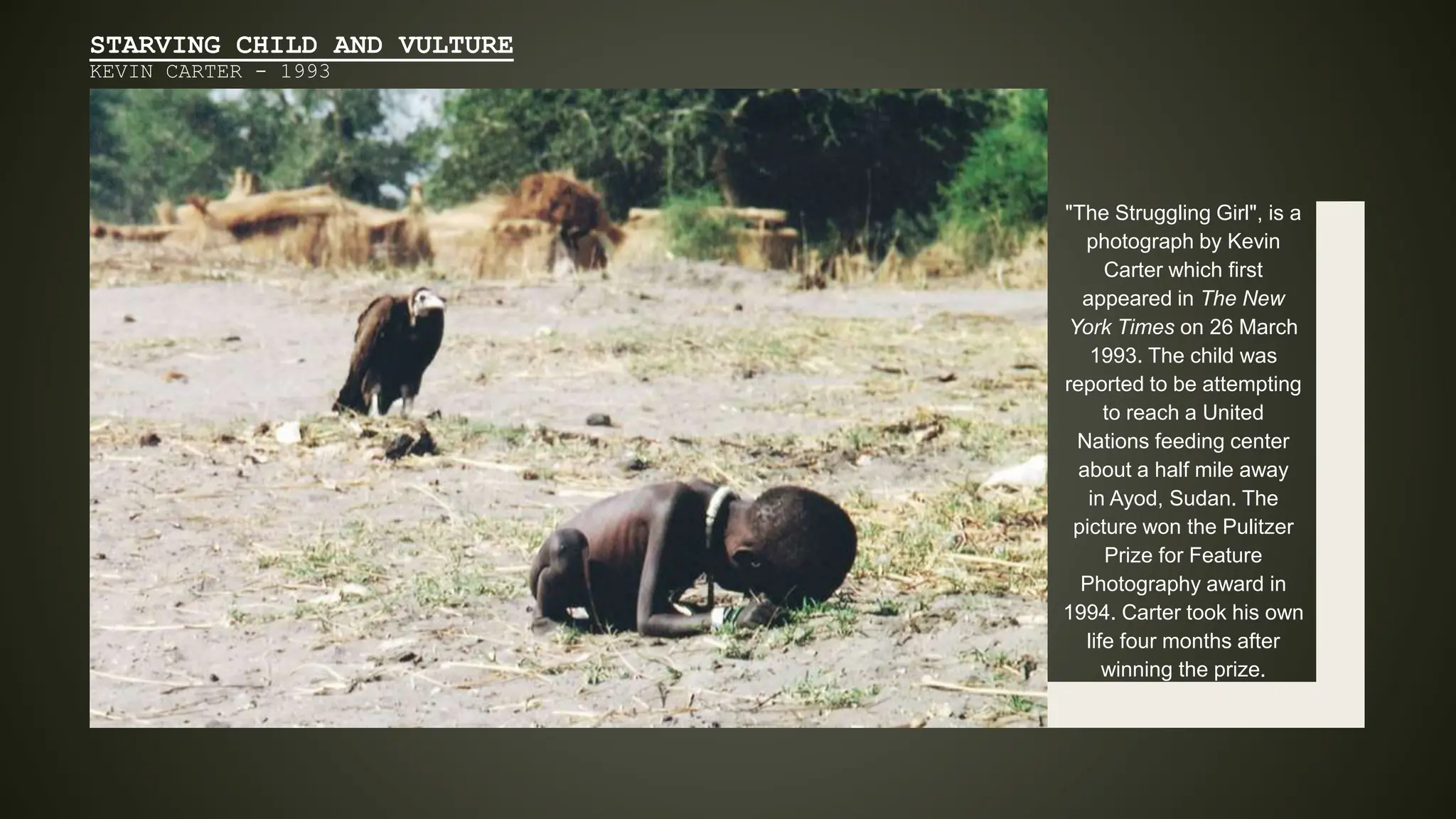 Famous & Prominent Photography-MaHi.pptx