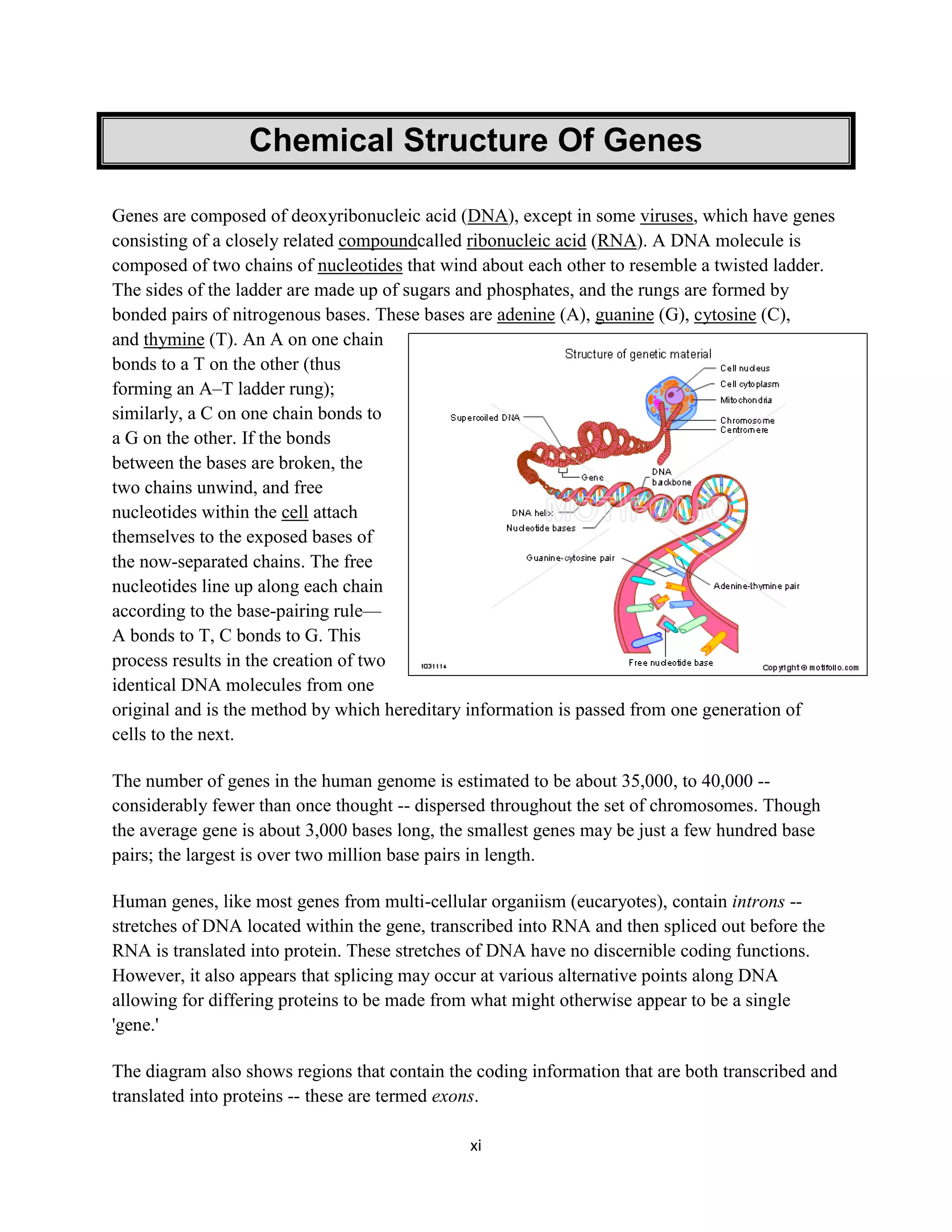 definition of gene,allele,types of gene,structure of gene and heredity ...