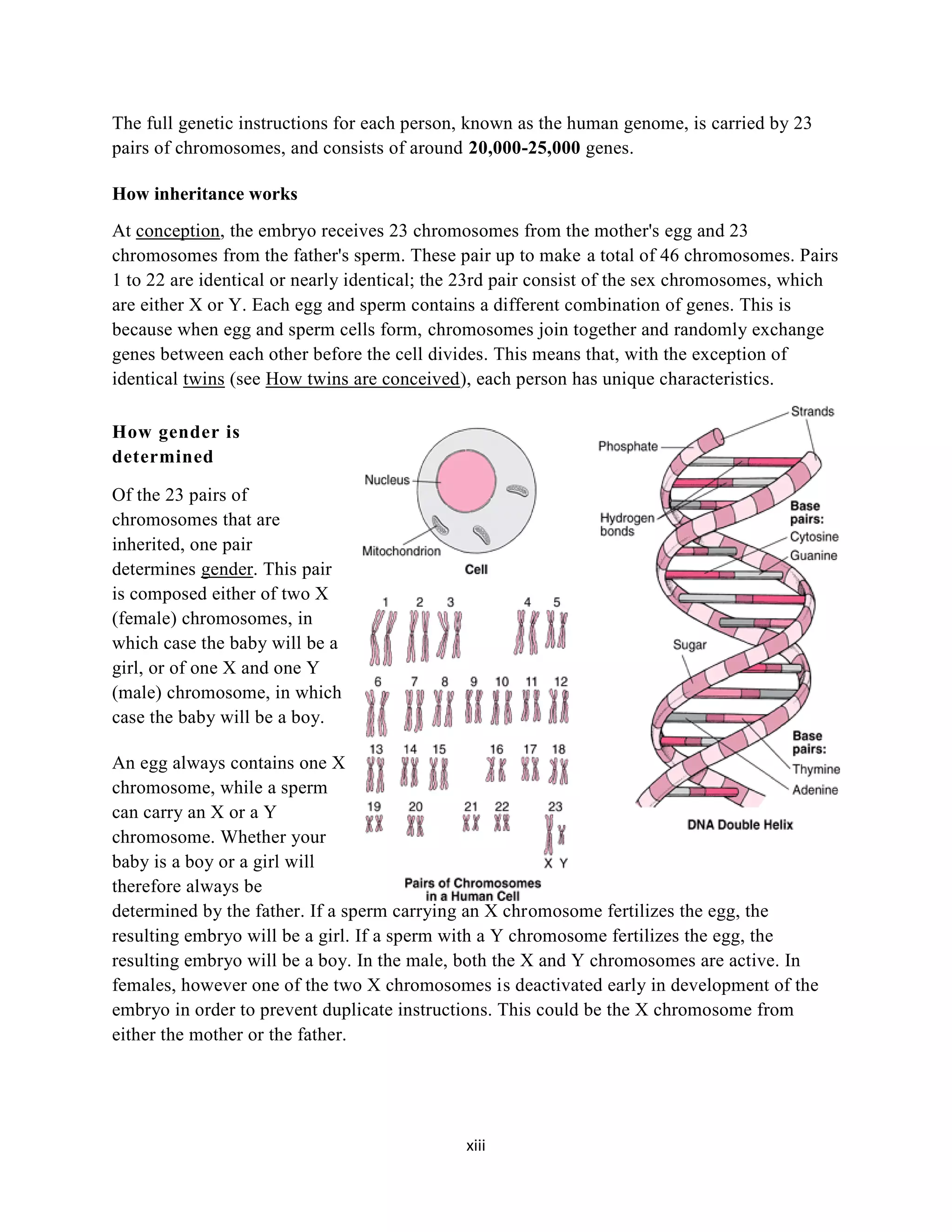 definition of gene,allele,types of gene,structure of gene and heredity ...