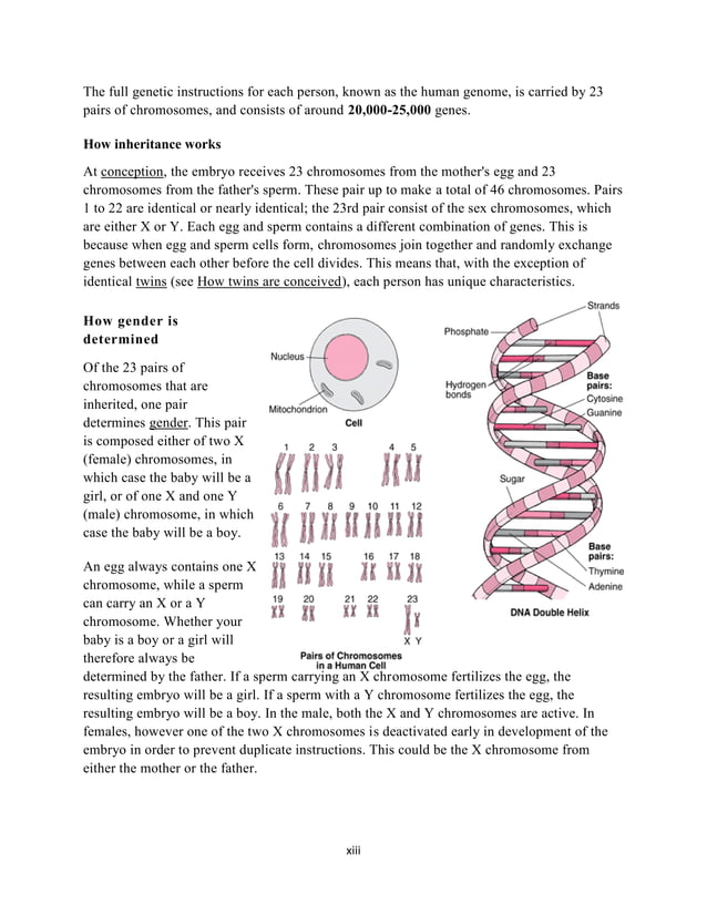 definition of gene,allele,types of gene,structure of gene and heredity ...