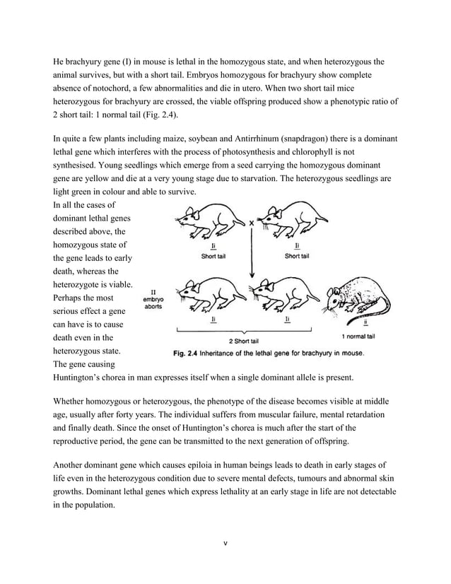 definition of gene,allele,types of gene,structure of gene and heredity ...