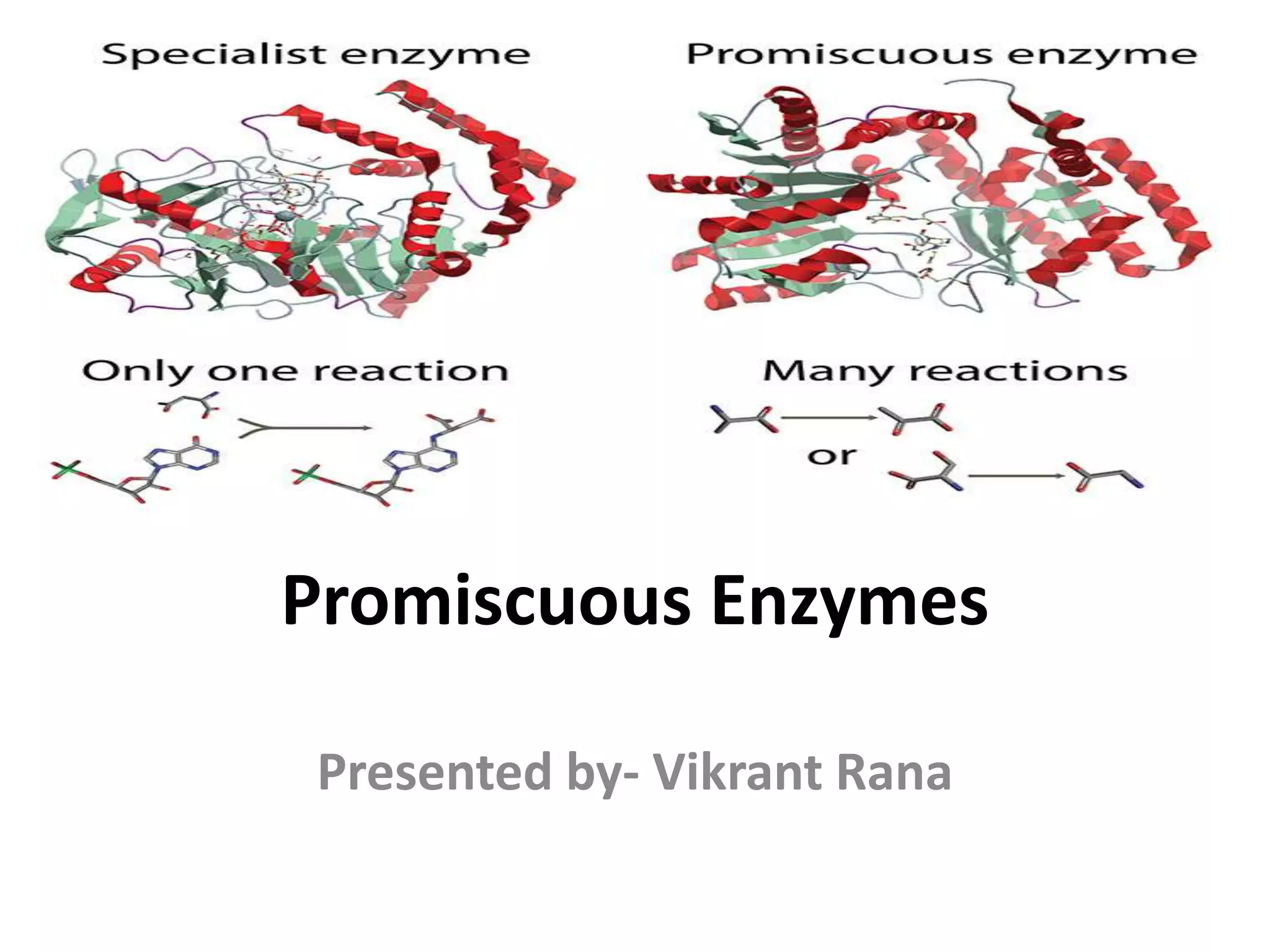 Promiscuous enzyme | PPTX
