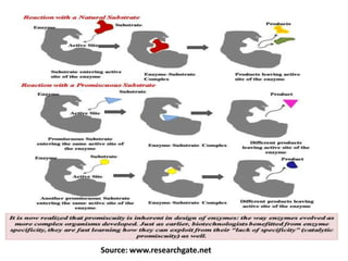 Promiscuous enzyme | PPTX
