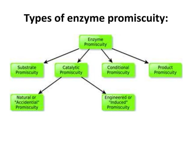 Promiscuous enzyme | PPTX