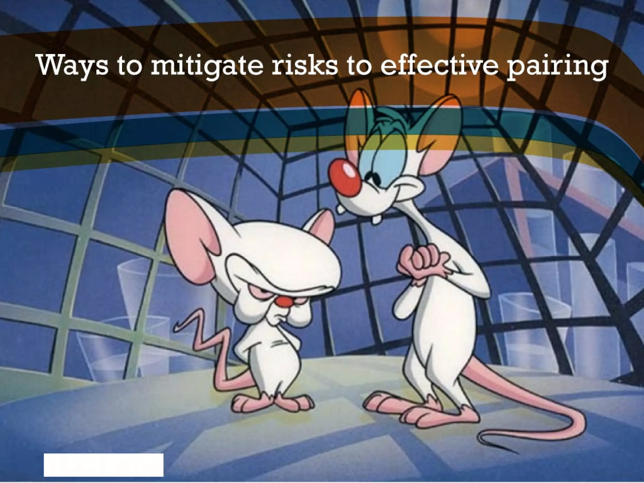 Promiscuous pairing | PPT