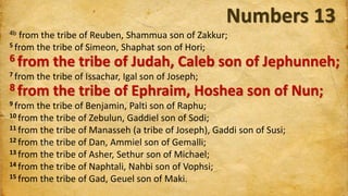 40 Days and 40 Nights_Jesus Our Promised Land | PPT