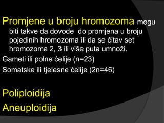Promjene u građi i broju hromozoma | PPTX
