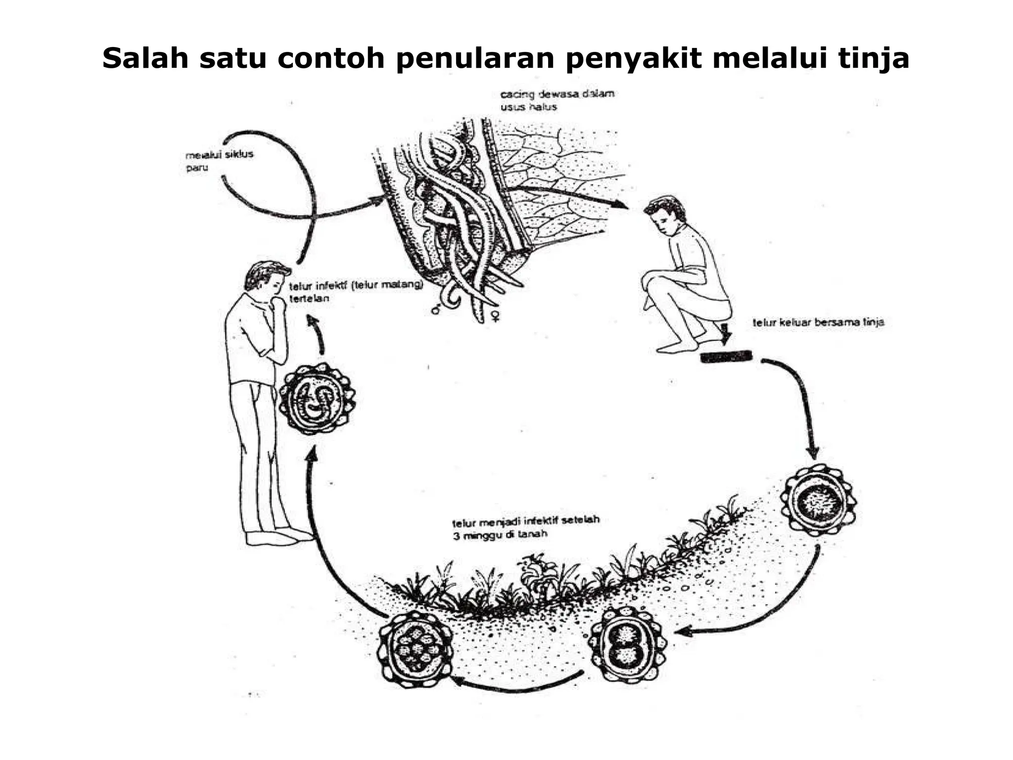 ppt penyuluhan tentang jamban sehat keluarga | PPT