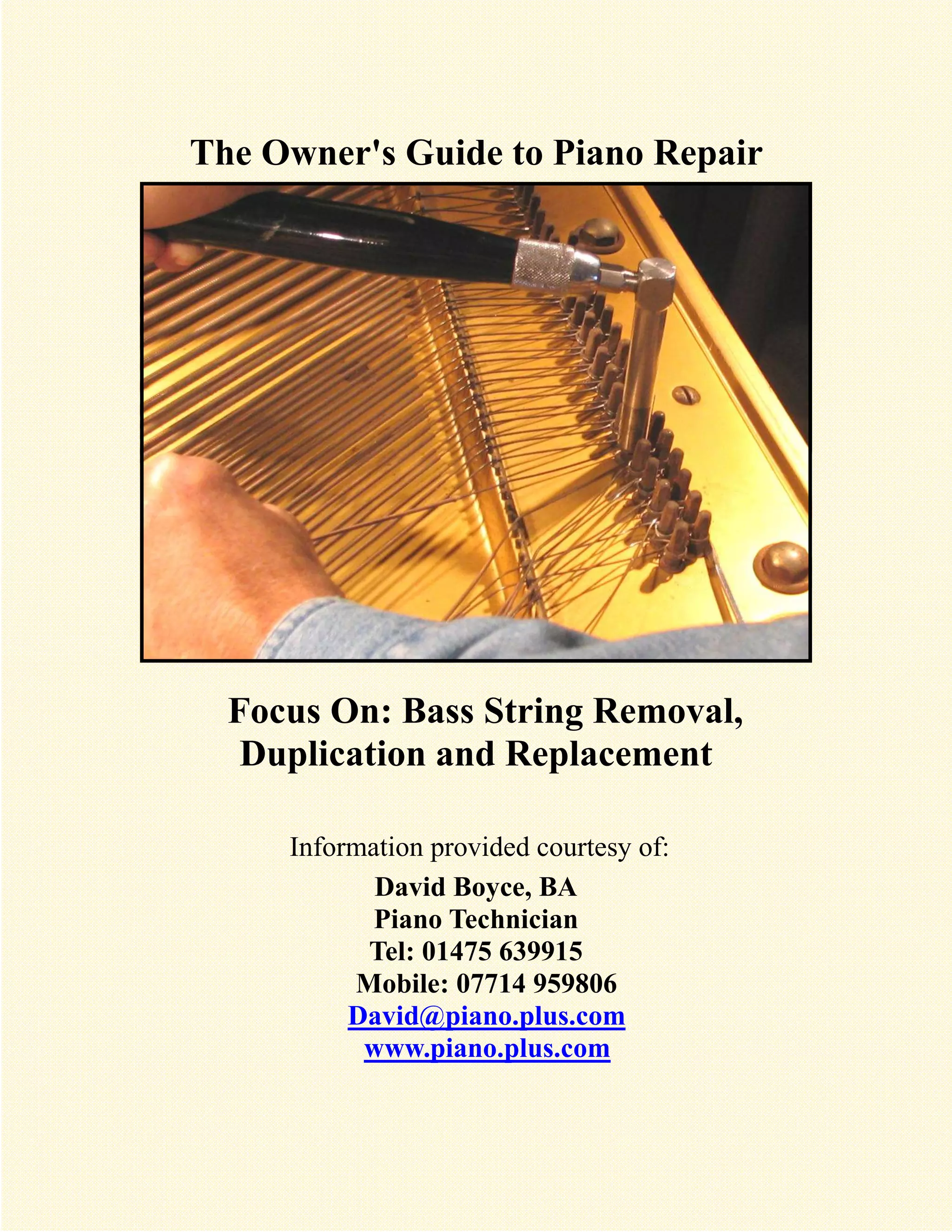 Promo 11 bass string replacement | PDF | Classical Music | Music
